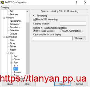 使用SSH的X11 Forwarding运行Linux系统的GUI程序 - tlanyan
